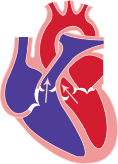 UOHI Cardiac Assessment Tutorial