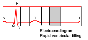 UOHI Cardiac Assessment Tutorial