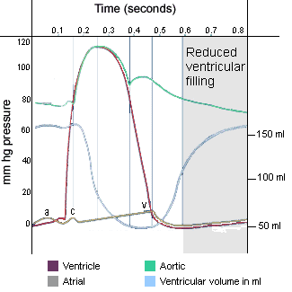 UOHI Cardiac Assessment Tutorial