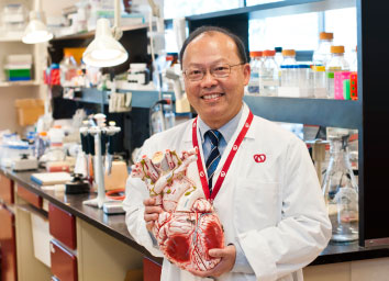 The Heart Institute Welcomes New Scientific Director | University of ...