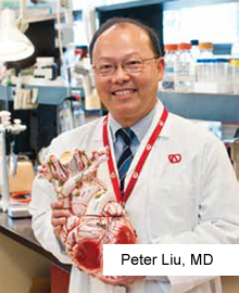 Personalizing Heart Failure Diagnosis and Treatment | University of ...